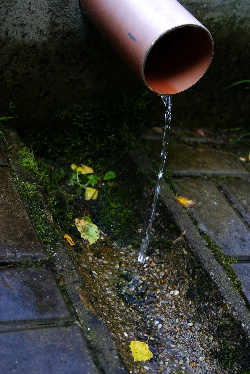 How to Detect Drain Repair Needs - Yorkshire Septics